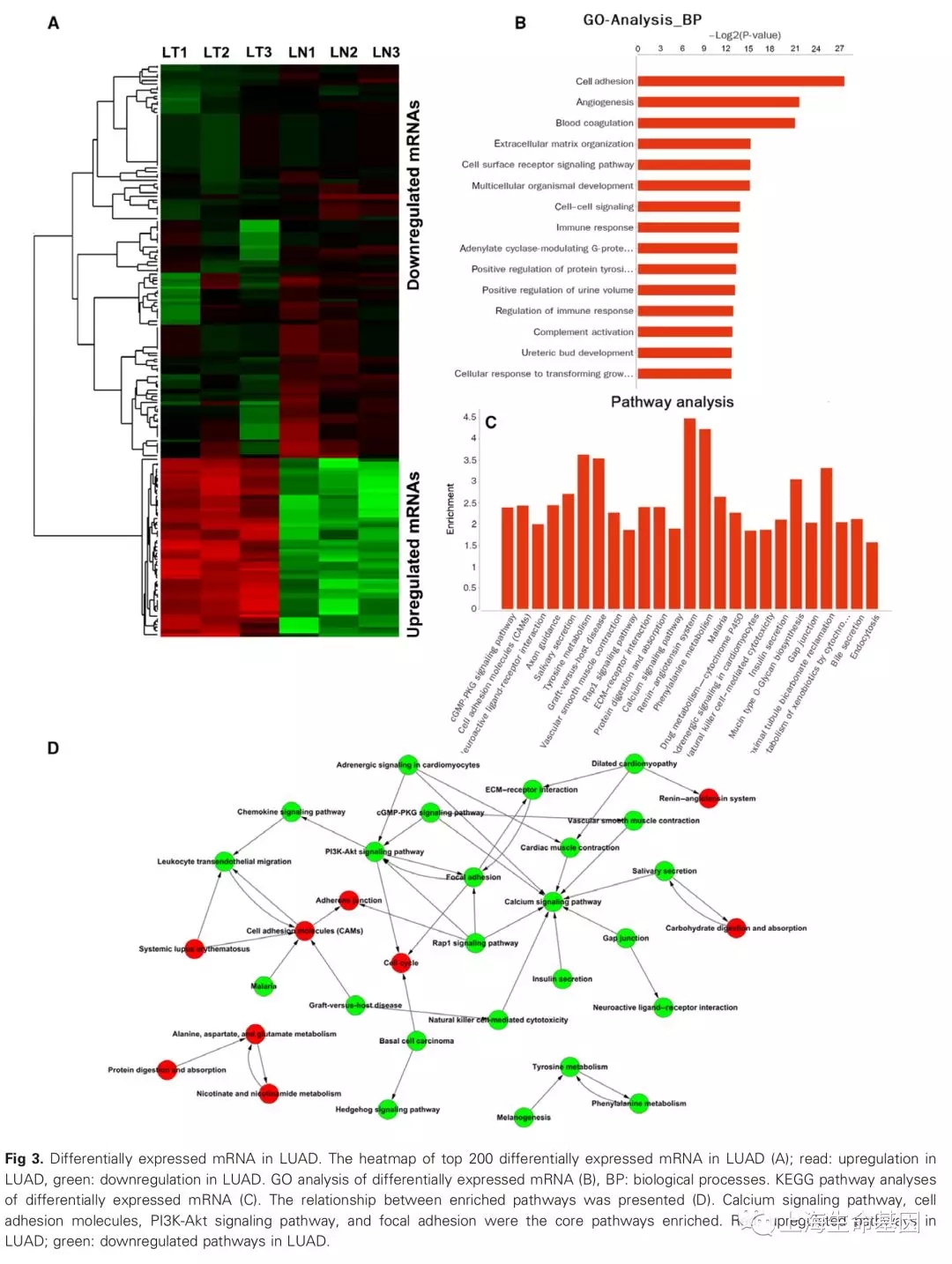 Profiling Expression Of Coding Genes Long Noncoding Rna And Circular
